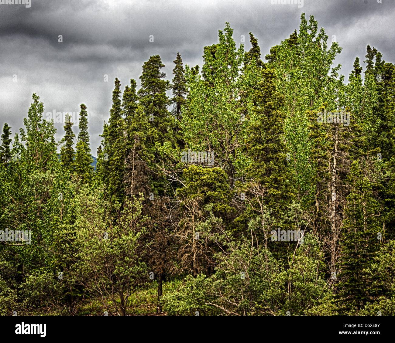 Short spire hi-res stock photography and images - Alamy