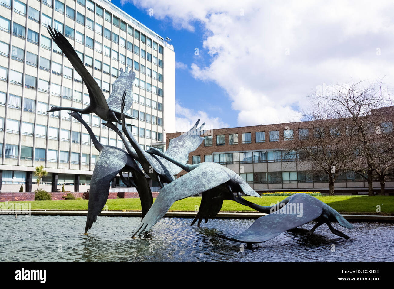 The Swans in Flight Sculpture by David Wynne Stock Photo - Alamy