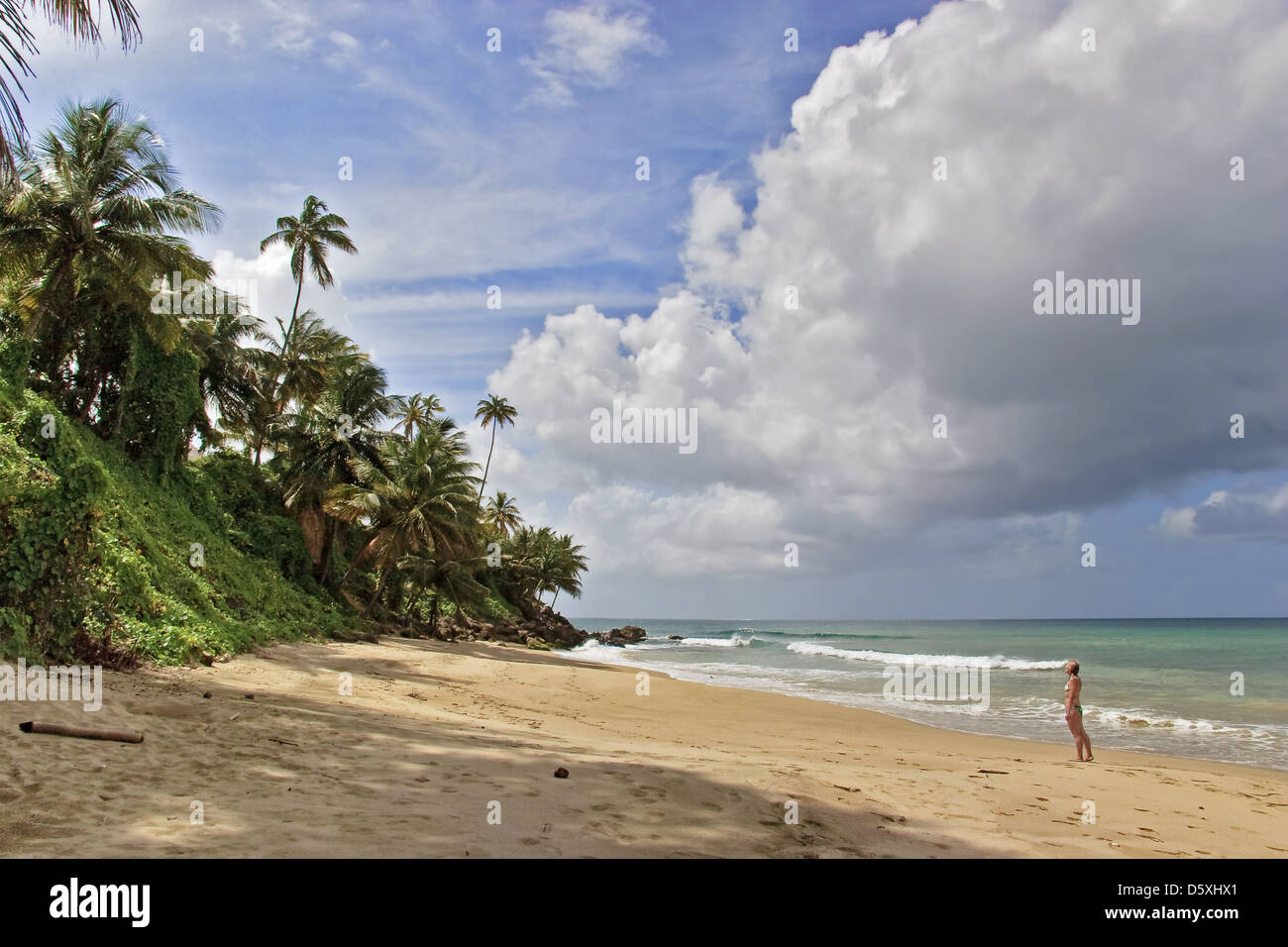West beach scene hi-res stock photography and images - Alamy