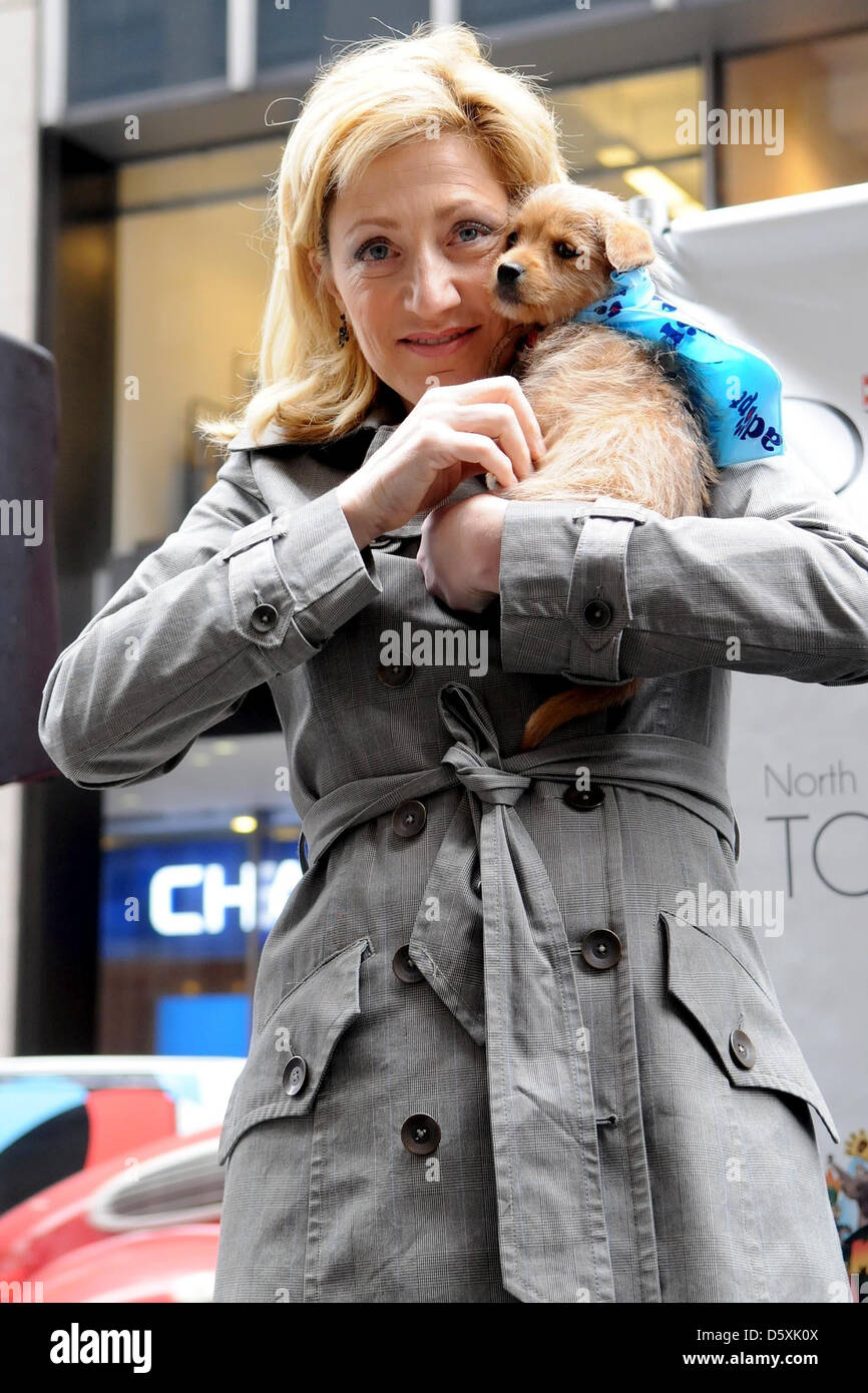 Edie falco north shore animal hi-res stock photography and images - Alamy