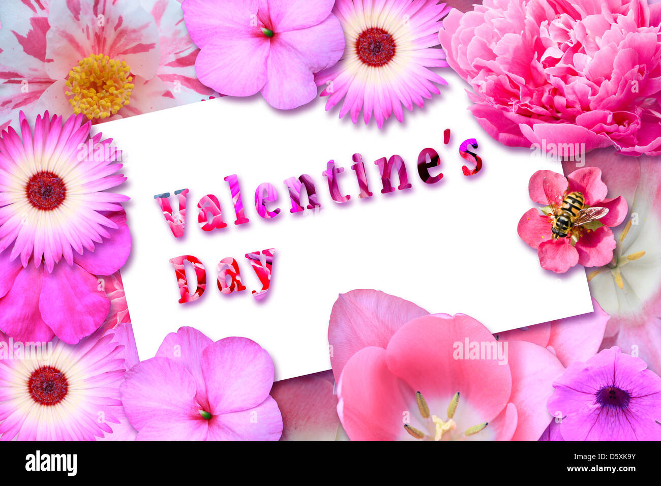 Valentine's Day card Stock Photo - Alamy