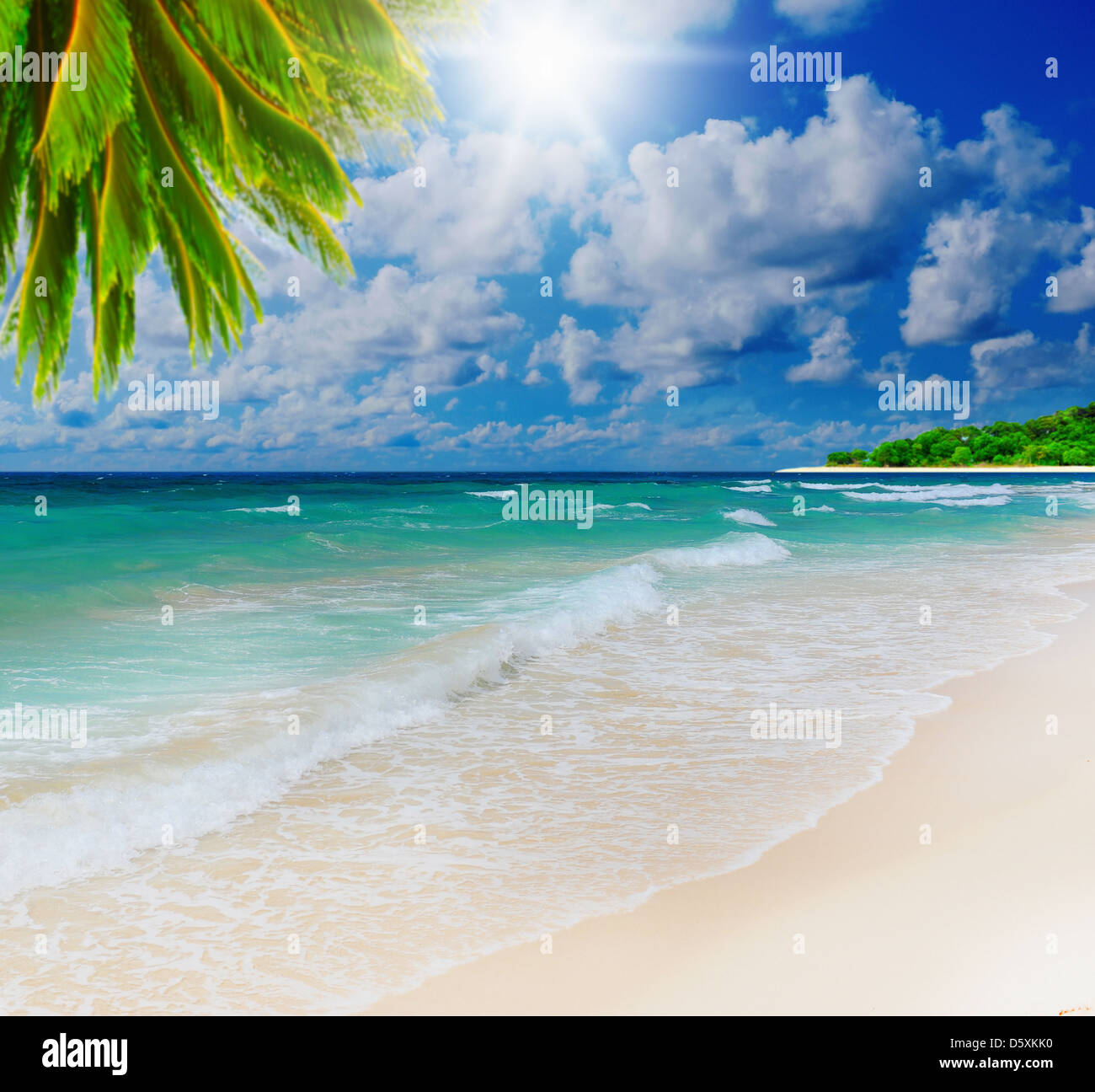 Sunny tropical beach on the island Stock Photo - Alamy