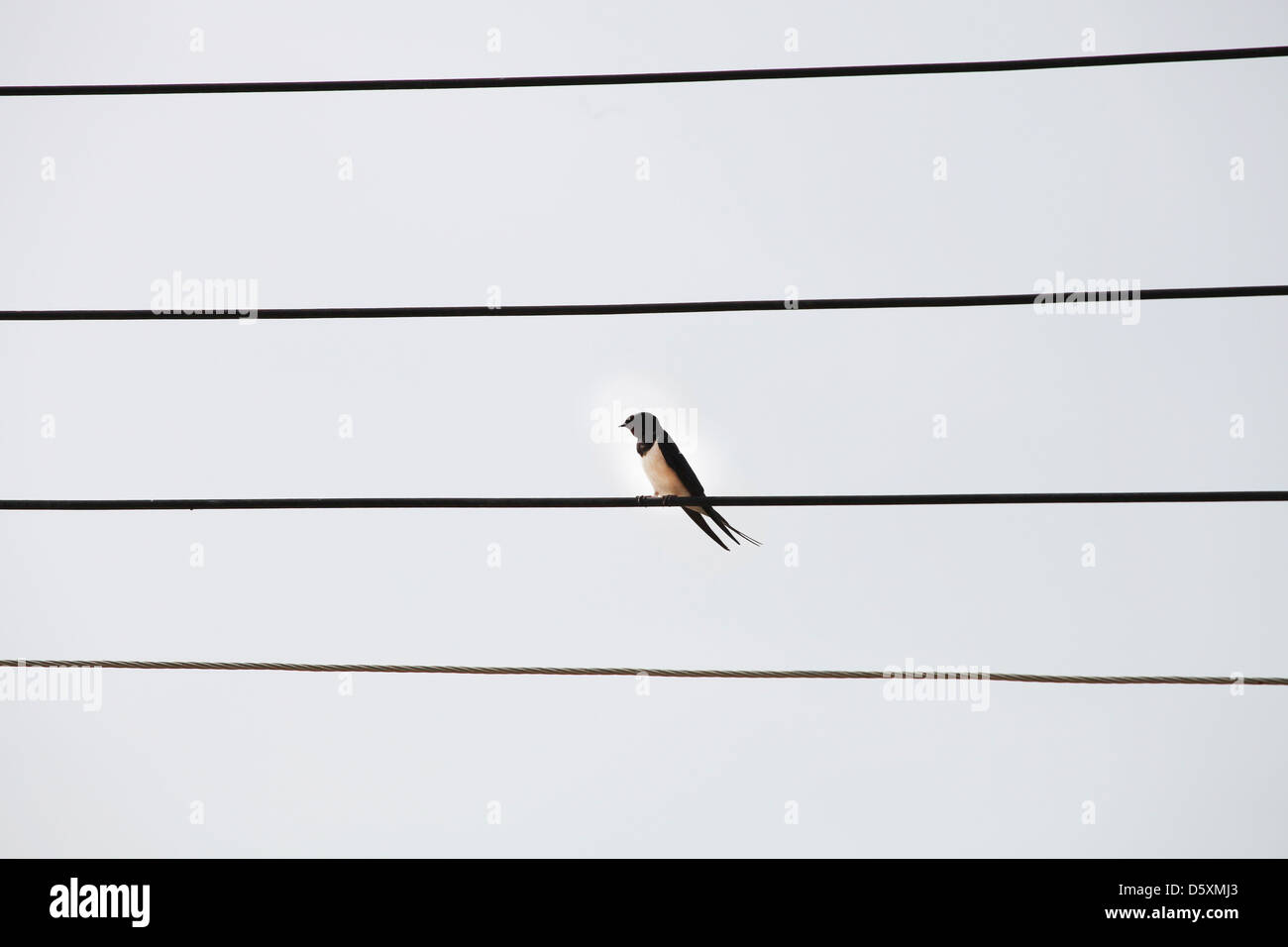 Group of wires hi-res stock photography and images - Alamy