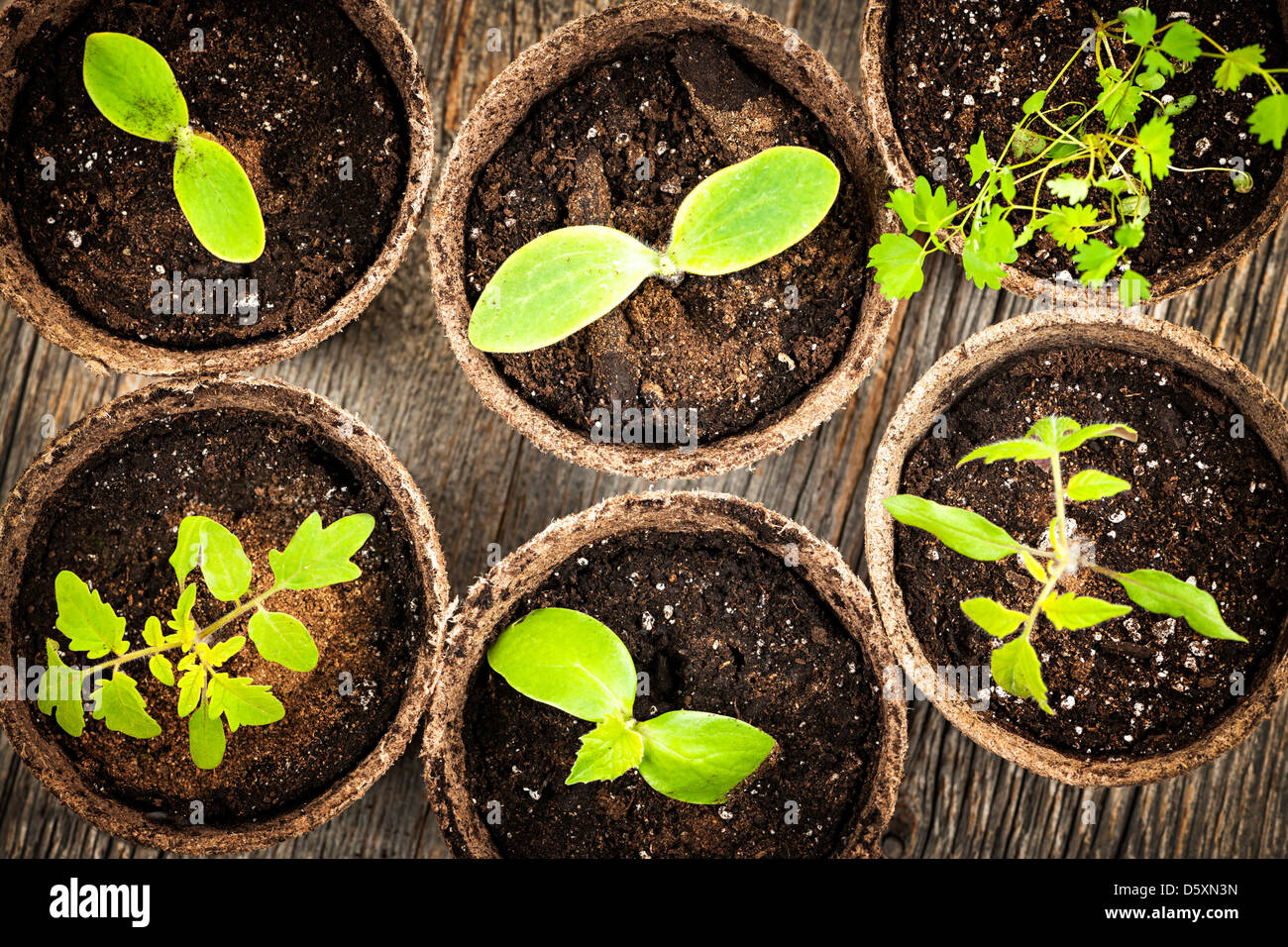 Biodegradable plants hi-res stock photography and images - Alamy