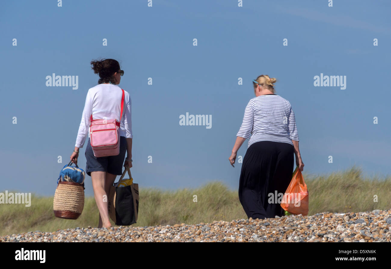 a shingle beach with groynes, near littlehampton, west sussex, england ...