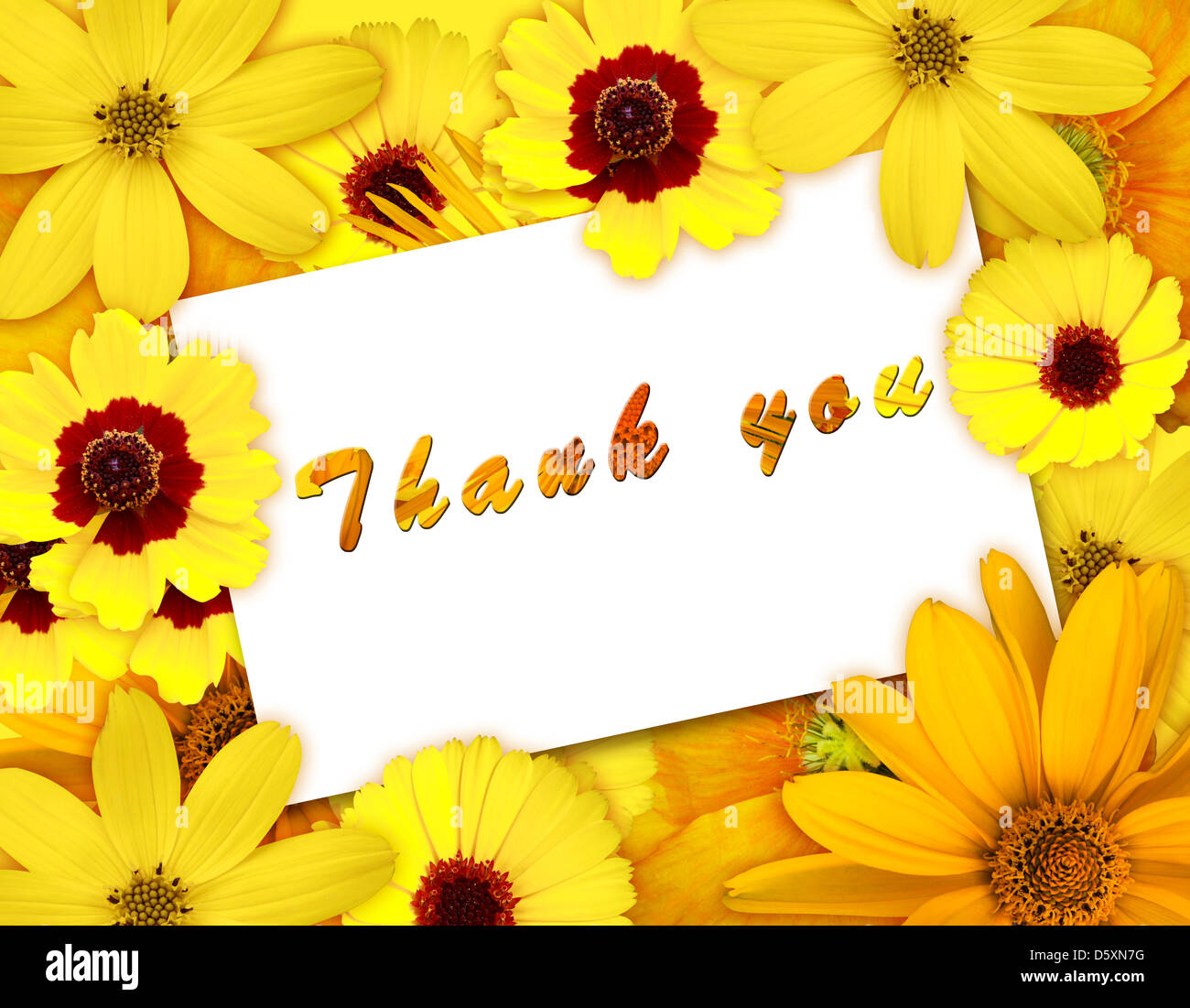 Card of thanks hi-res stock photography and images - Alamy