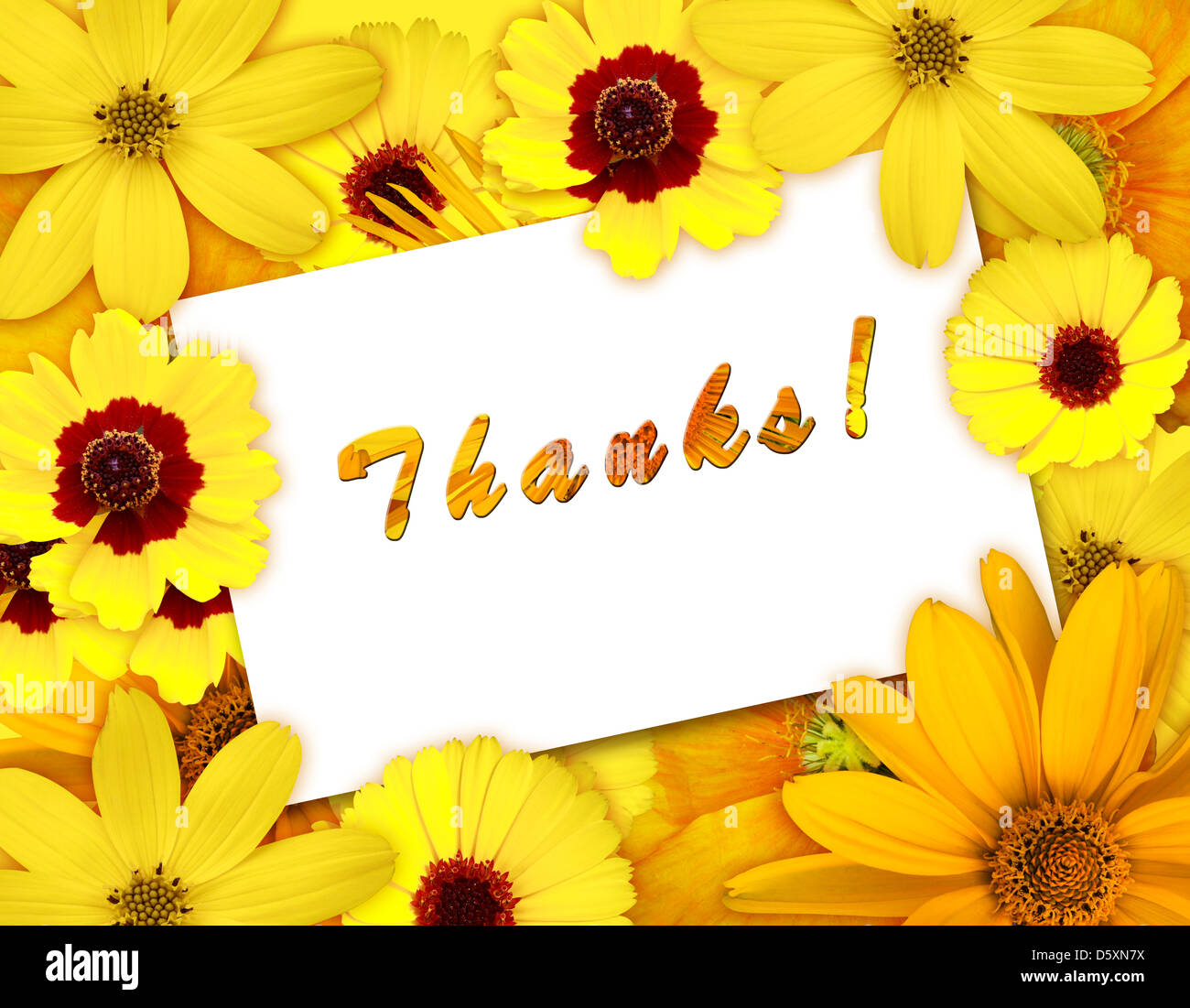 card of thanks Stock Photo - Alamy