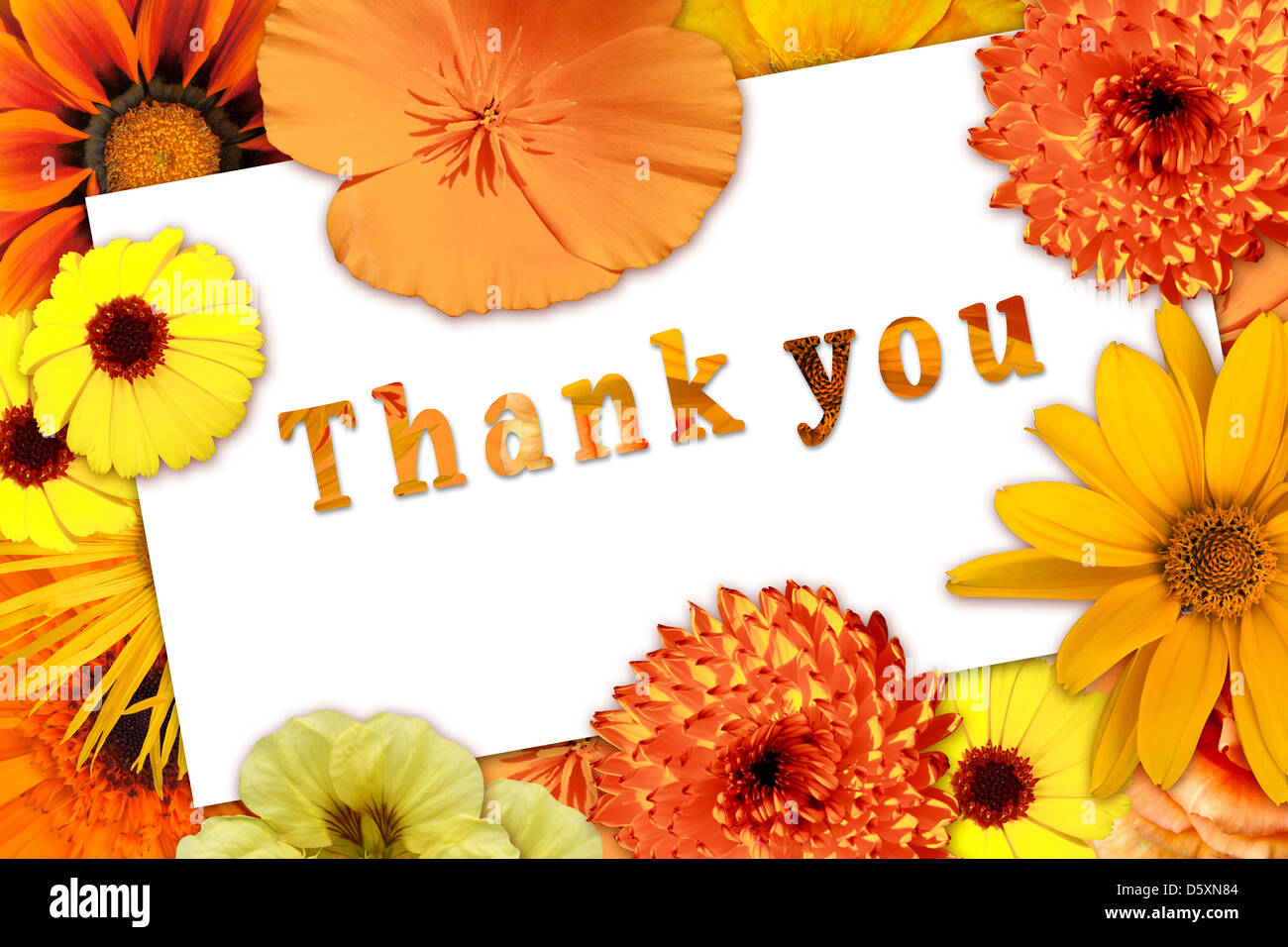 card of thanks Stock Photo - Alamy