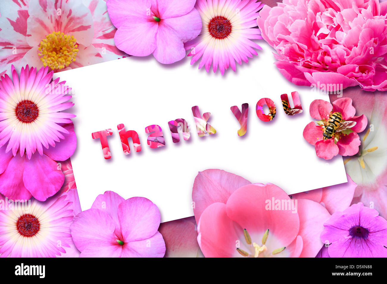 card of thanks Stock Photo - Alamy