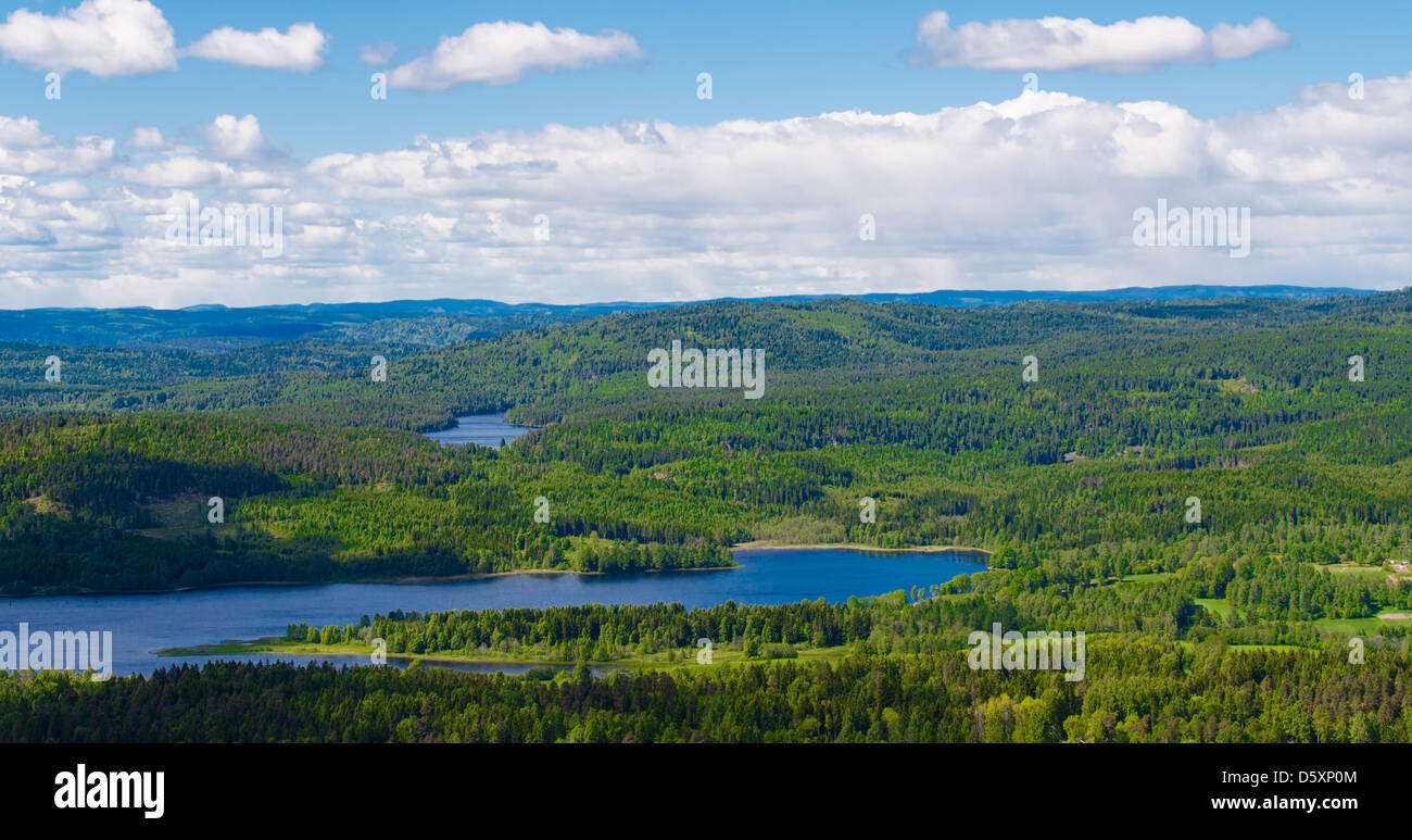 Norway forest hi-res stock photography and images - Alamy