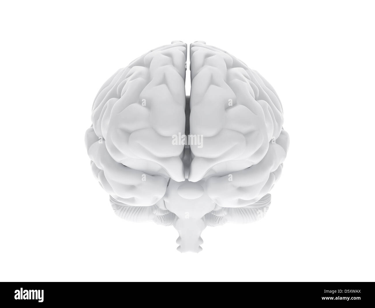 3d human brain Stock Photo - Alamy