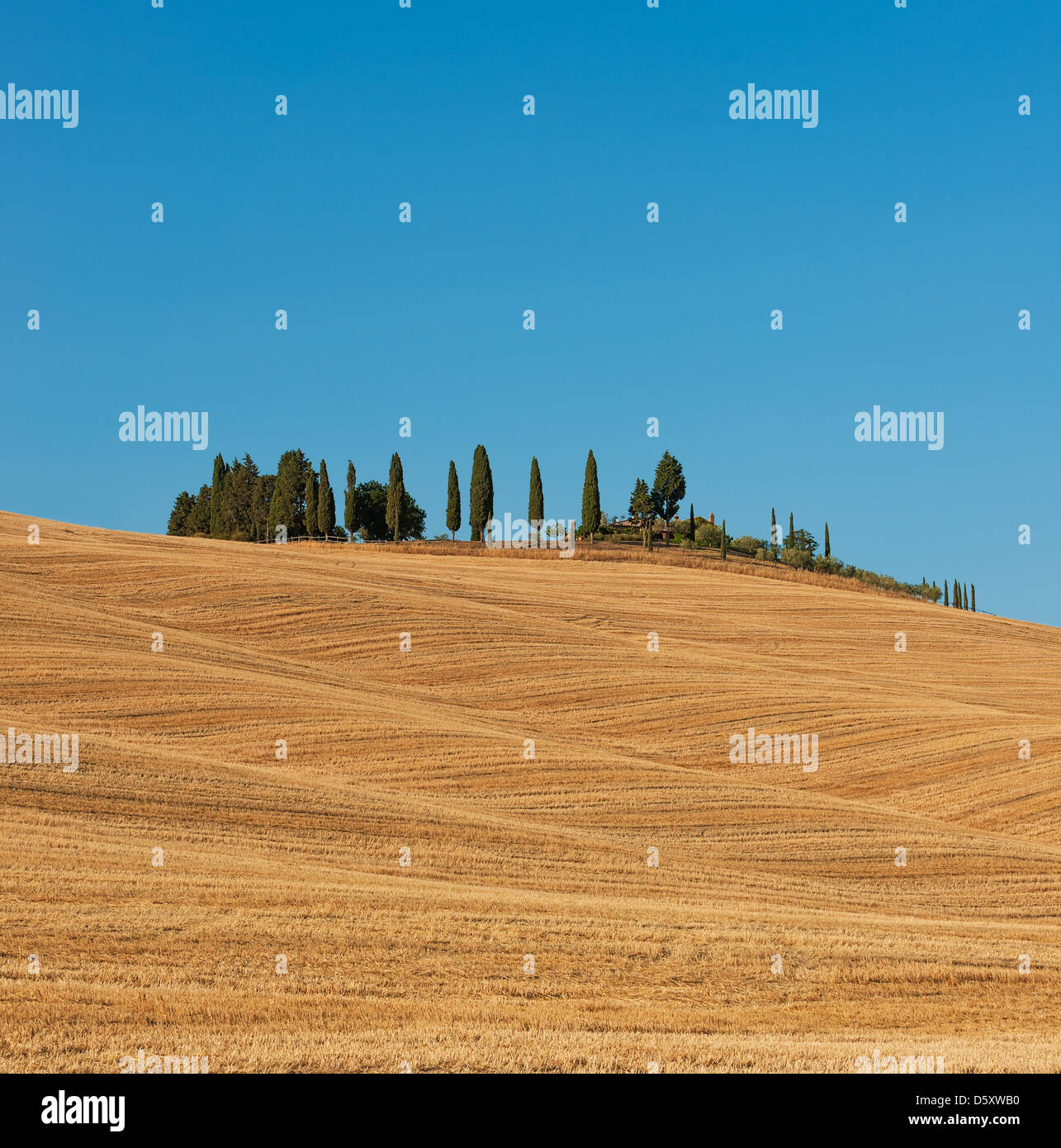 typical tuscan landscape Stock Photo - Alamy