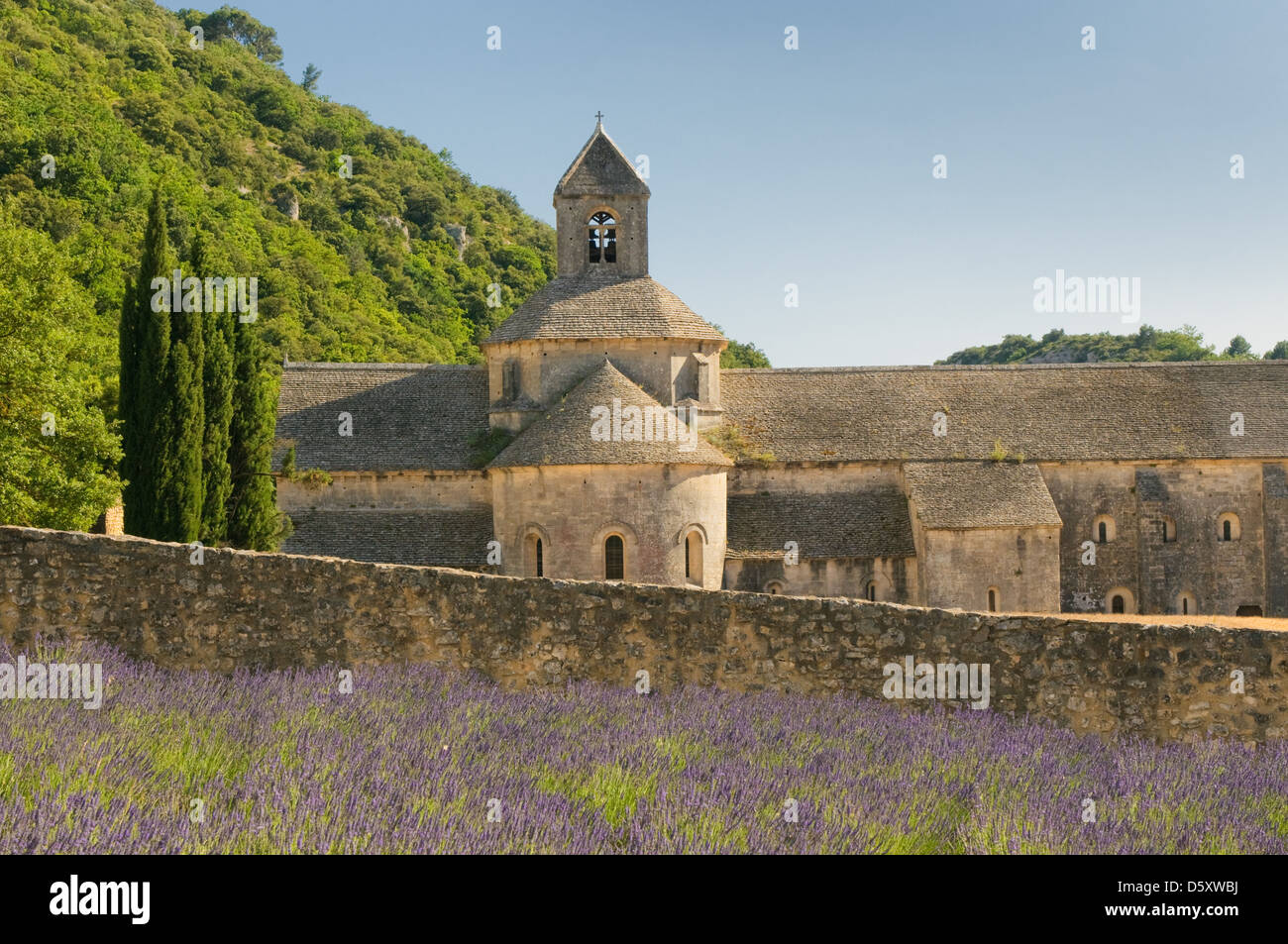 senanque abbey, provence, france Stock Photo - Alamy