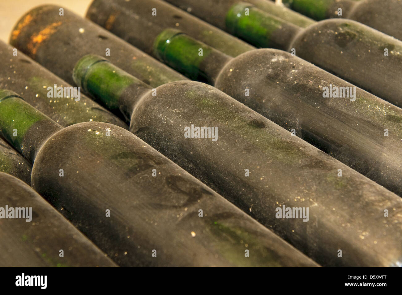 bottles in wine cellar Stock Photo - Alamy