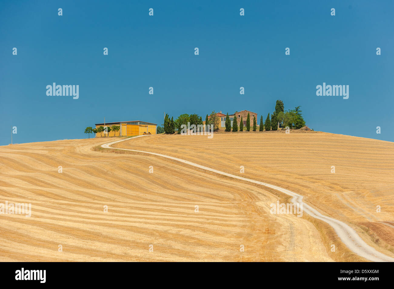 typical tuscan landscape Stock Photo - Alamy