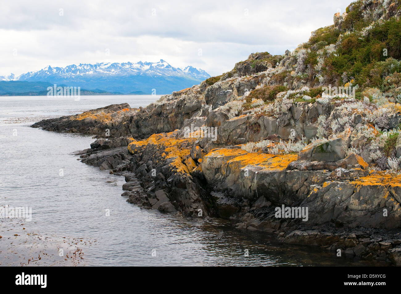 Beagle channel, Patagonia, Argentina Stock Photo - Alamy