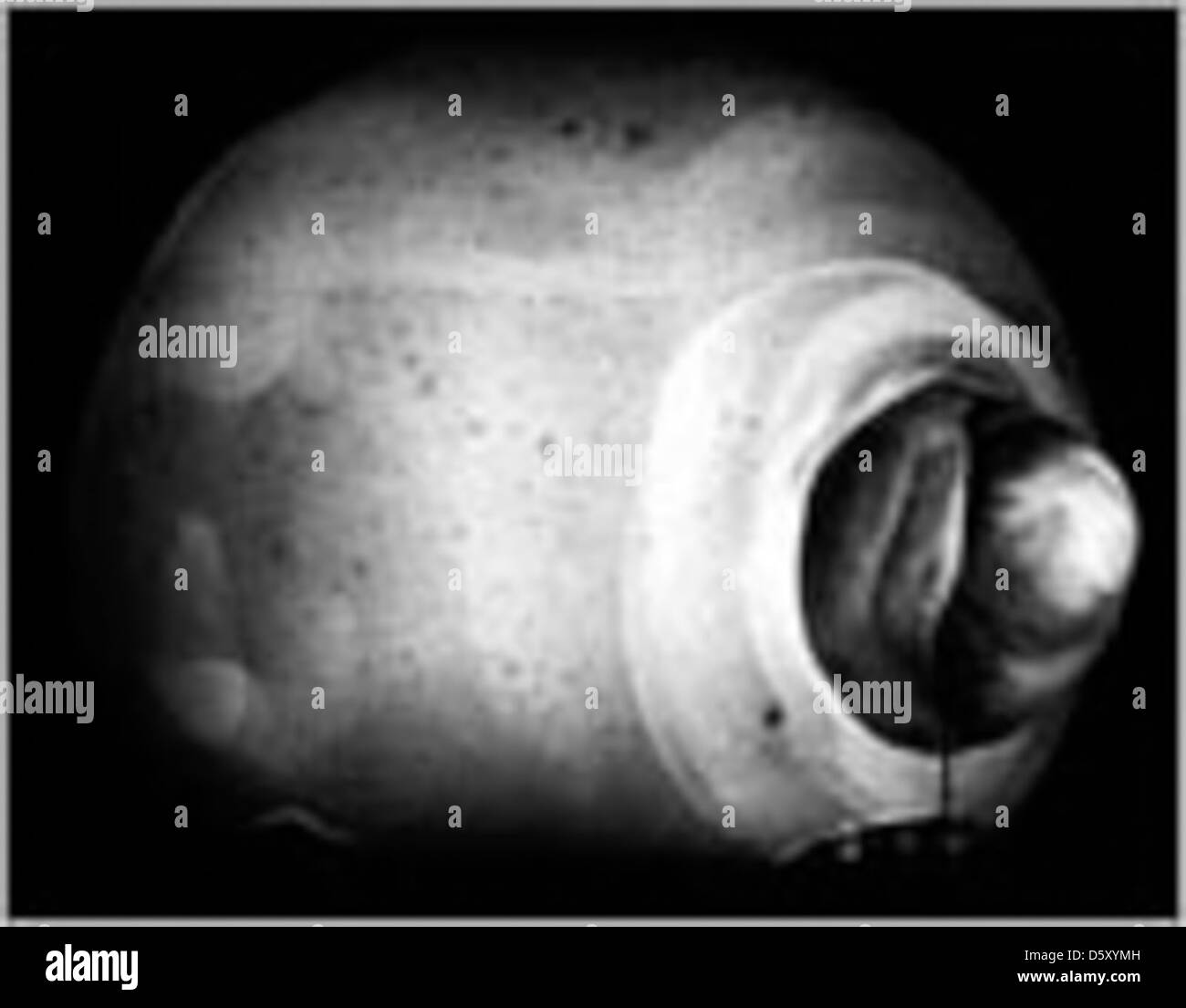A sequence 2C shot from Operation Redwing in 1956, showing the nuclear ...