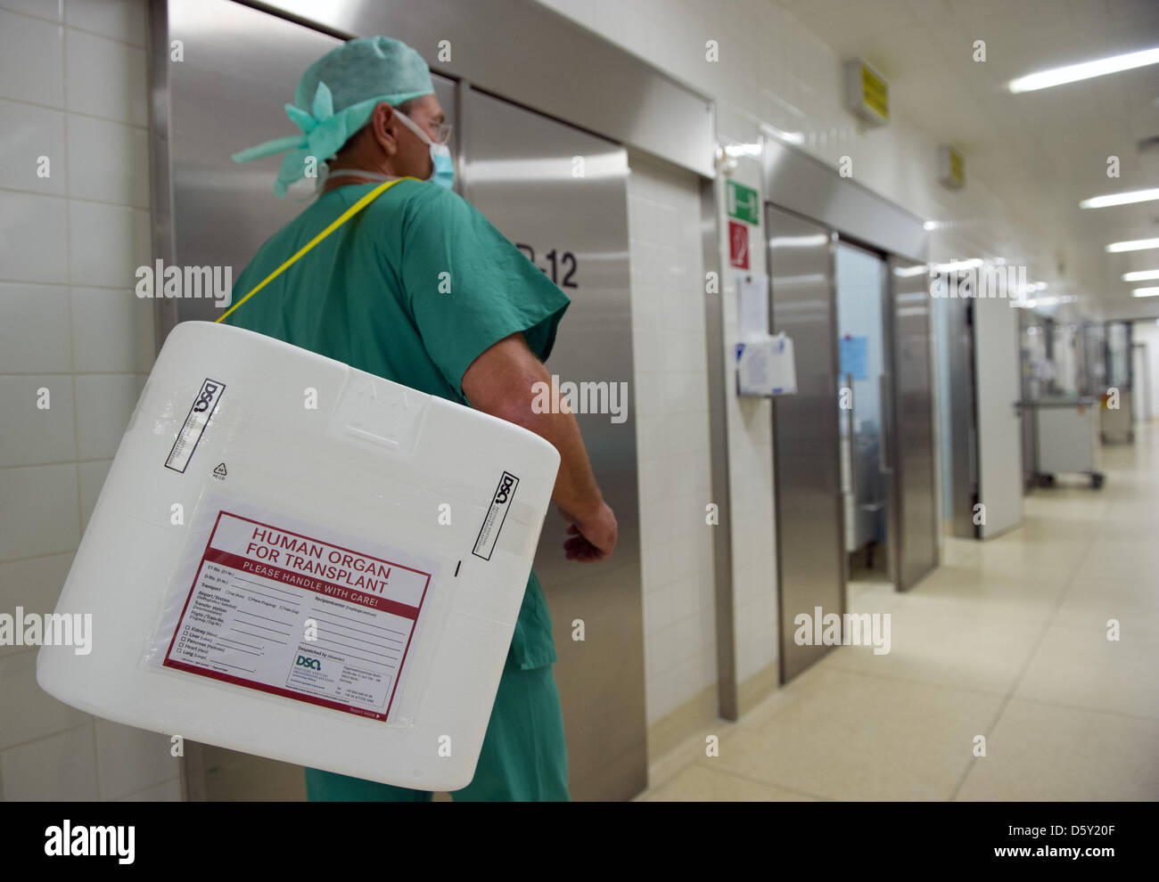 A styrofoam container for the transport of donated organs is pictured ...