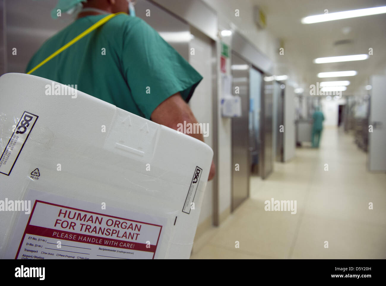 A styrofoam container for the transport of donated organs is pictured ...