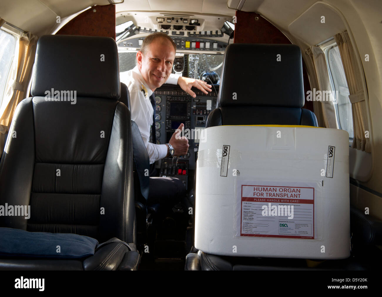 A styrofoam container for the transport of donated organs is pictured ...