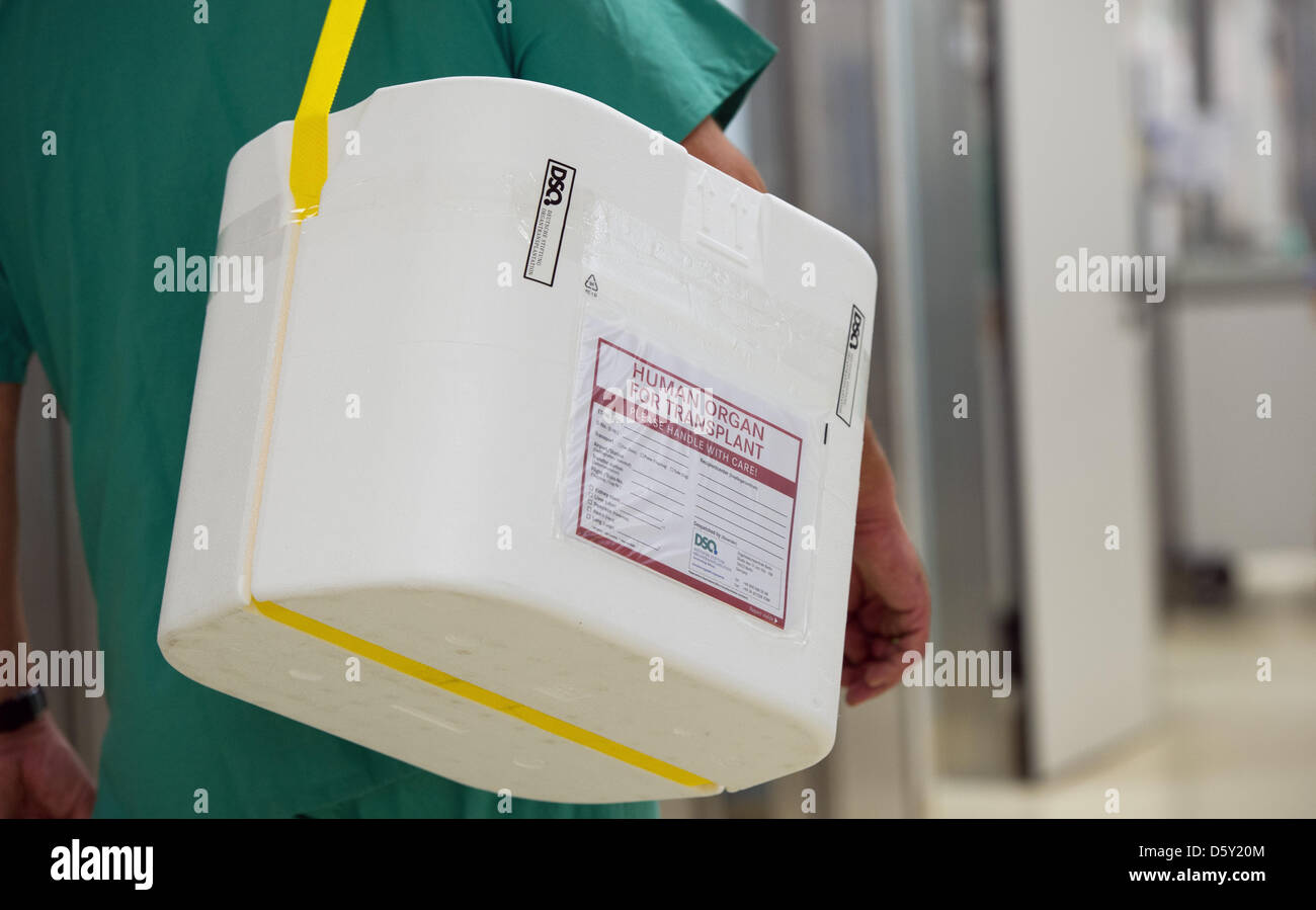 A styrofoam container for the transport of donated organs is pictured ...