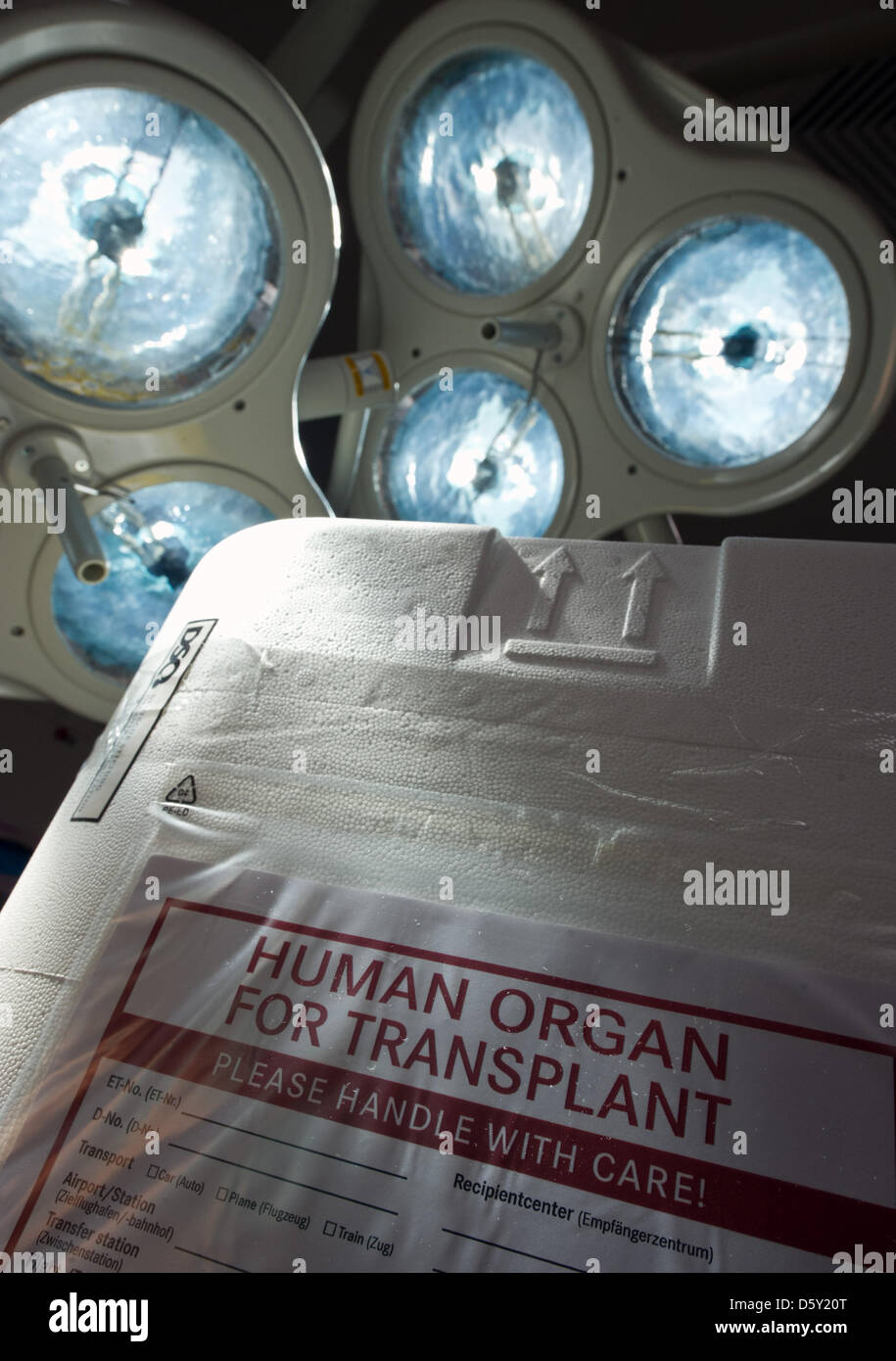 A styrofoam container for the transport of donated organs is pictured ...