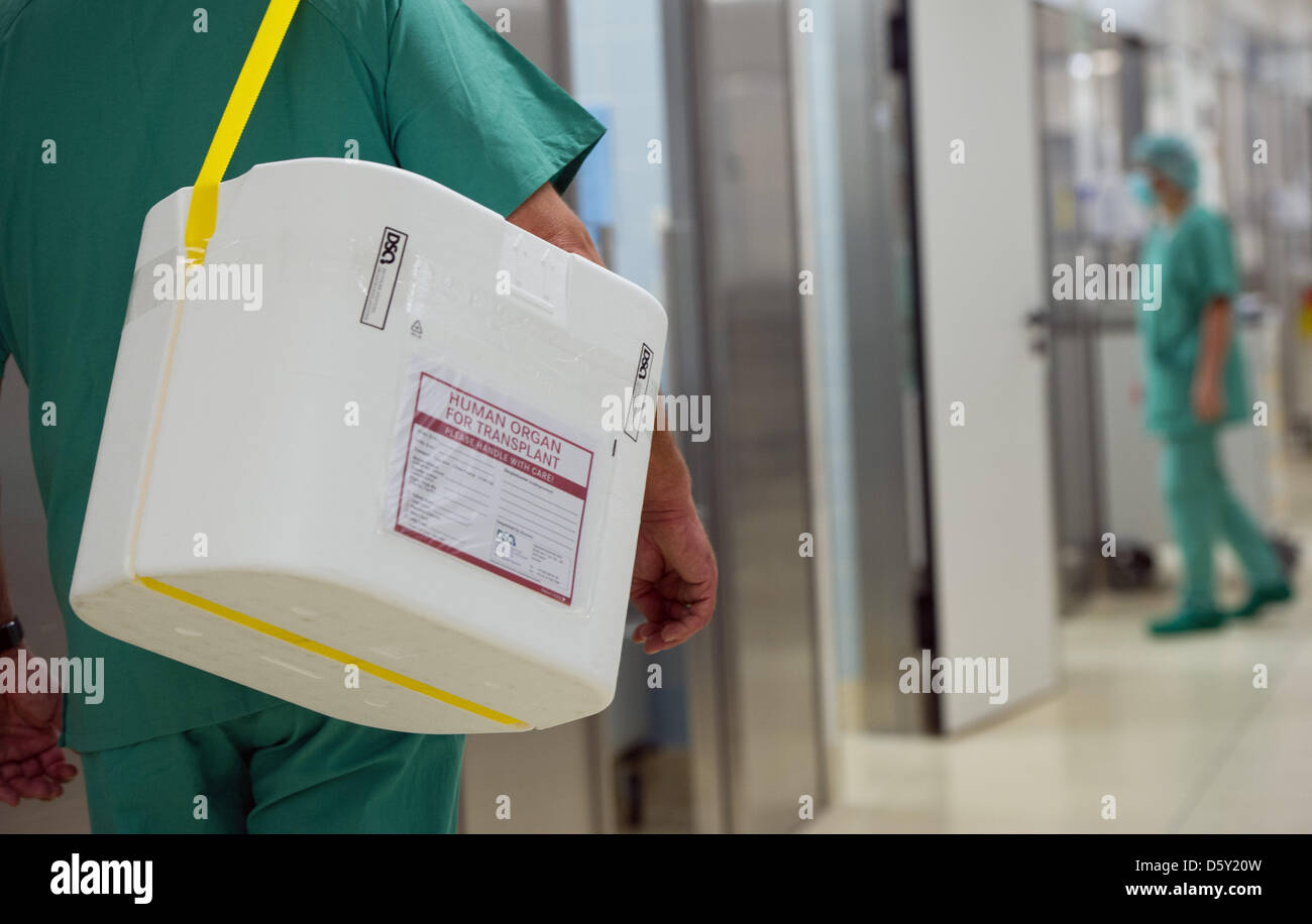 A styrofoam container for the transport of donated organs is pictured ...