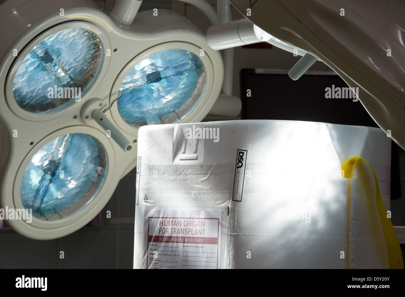 A styrofoam container for the transport of donated organs is pictured ...