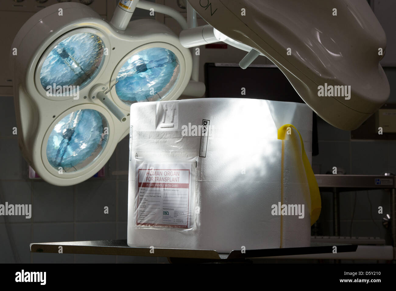 A styrofoam container for the transport of donated organs is pictured ...