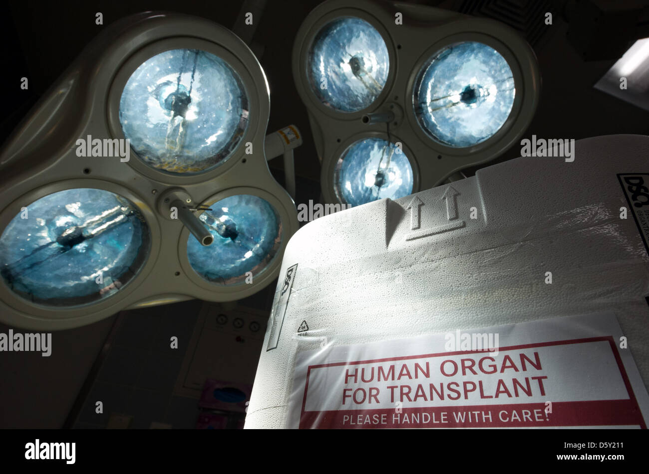 A styrofoam container for the transport of donated organs is pictured ...