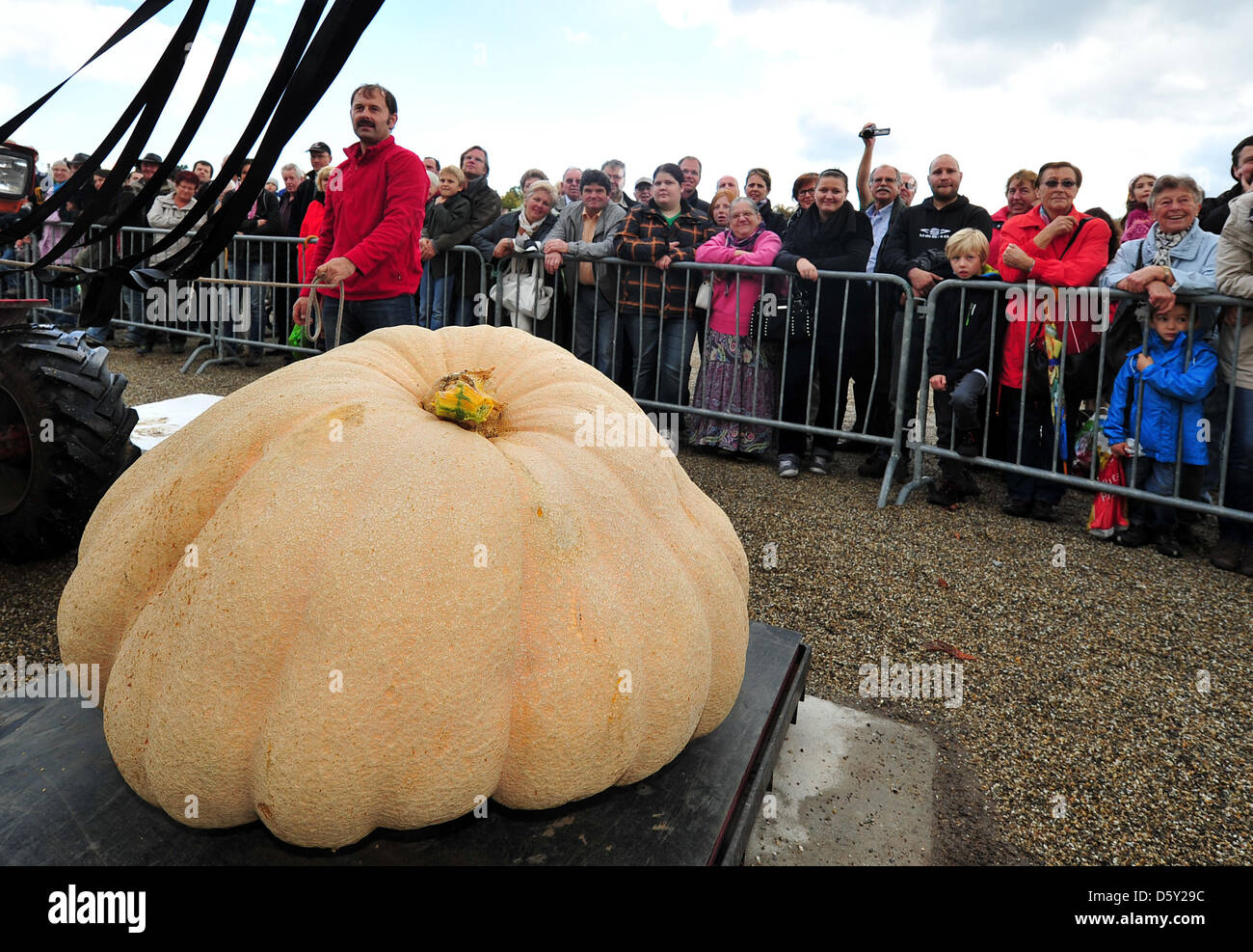 A pumpkin is weighed at the German Pumpkin Championships in Ludwigsburg ...
