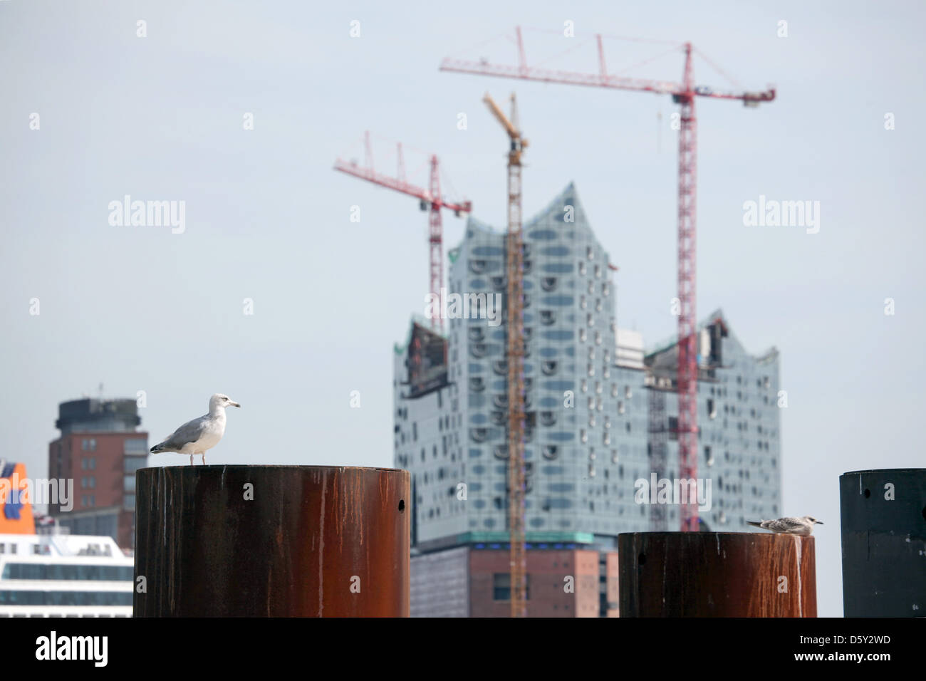 A seagull sits on a bollard at the harbour in Hamburg, Germany, 18 ...
