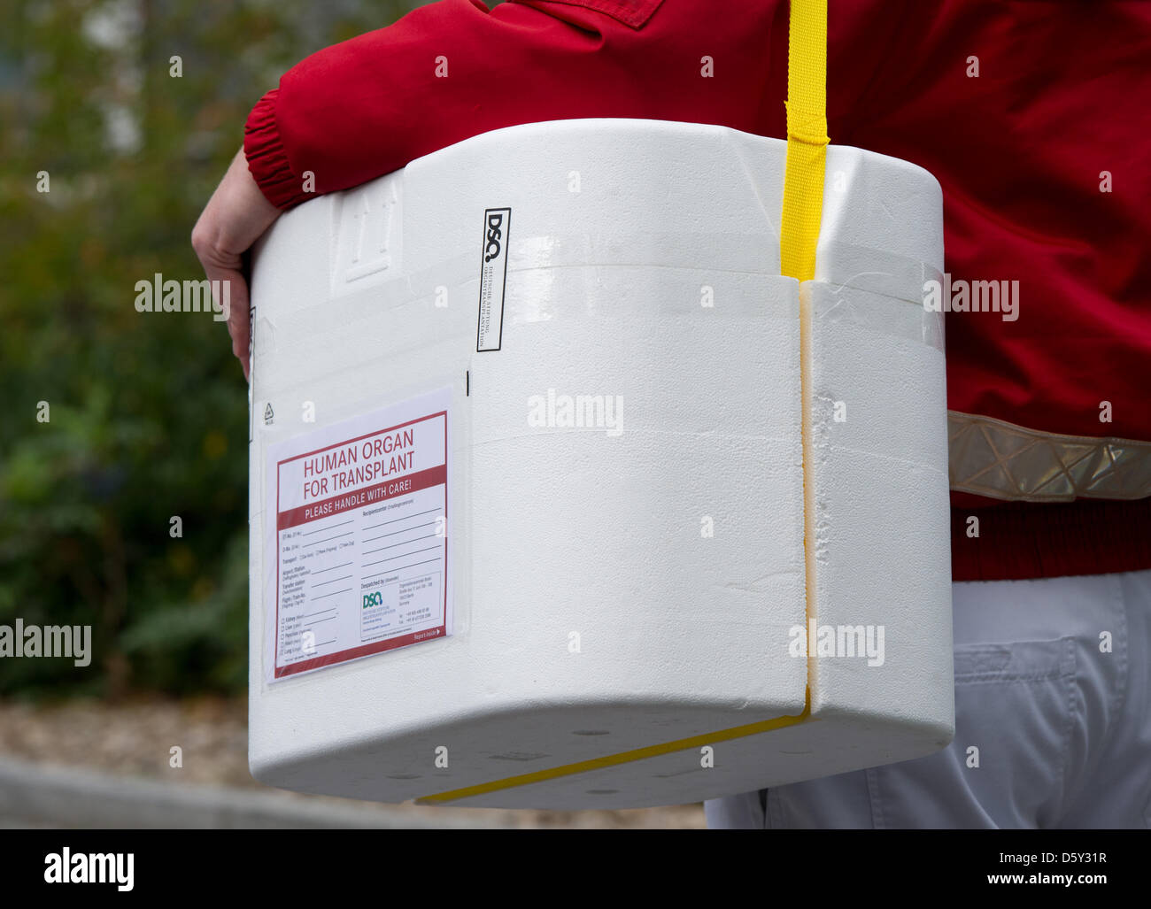 Organ Transport Box High Resolution Stock Photography and Images - Alamy