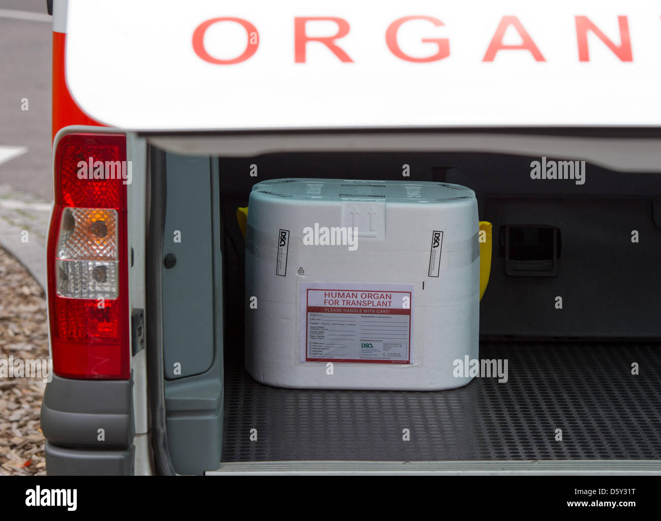 ILLUSTRATION - A Polystyrene box used for the transport of human organs ...