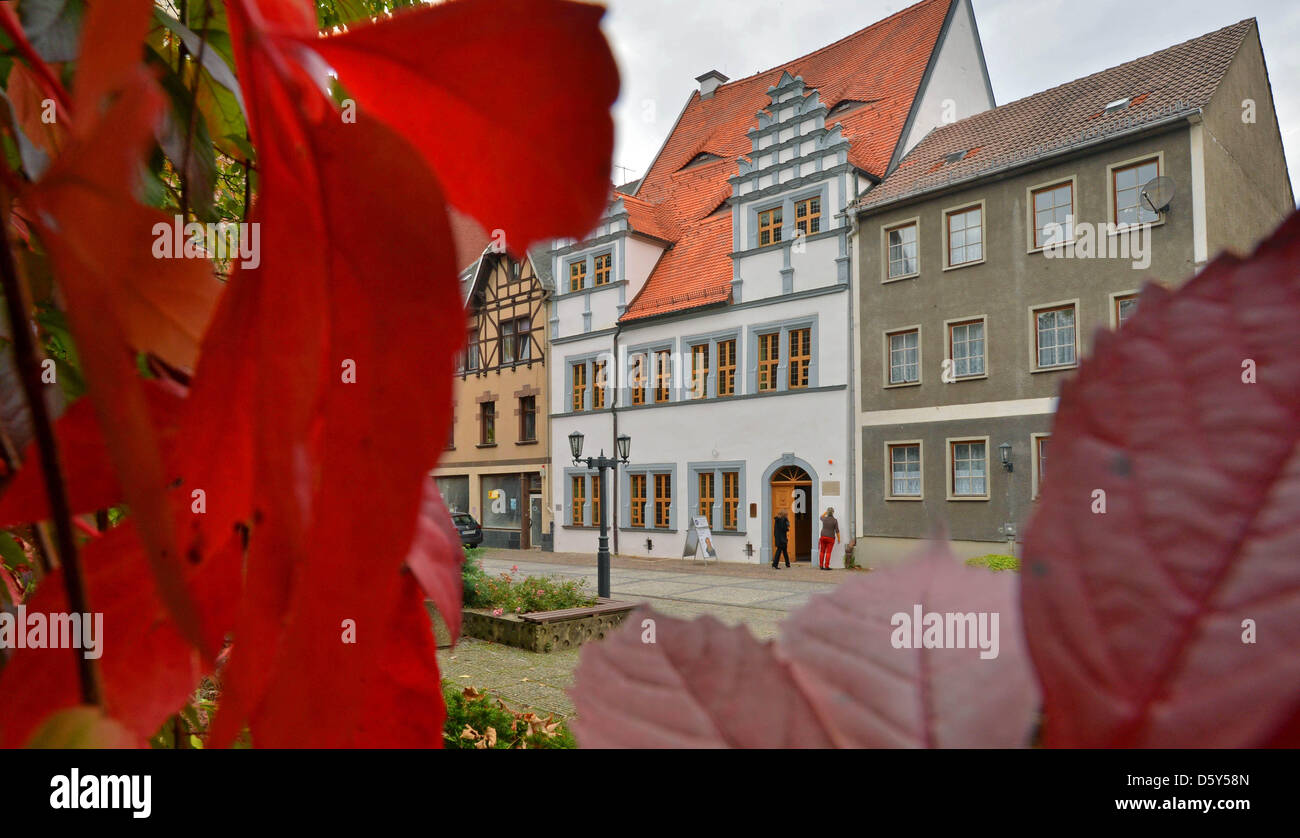 Wilde vine grows in front of Heinrich Schuetz House (C) in Weissenfels ...