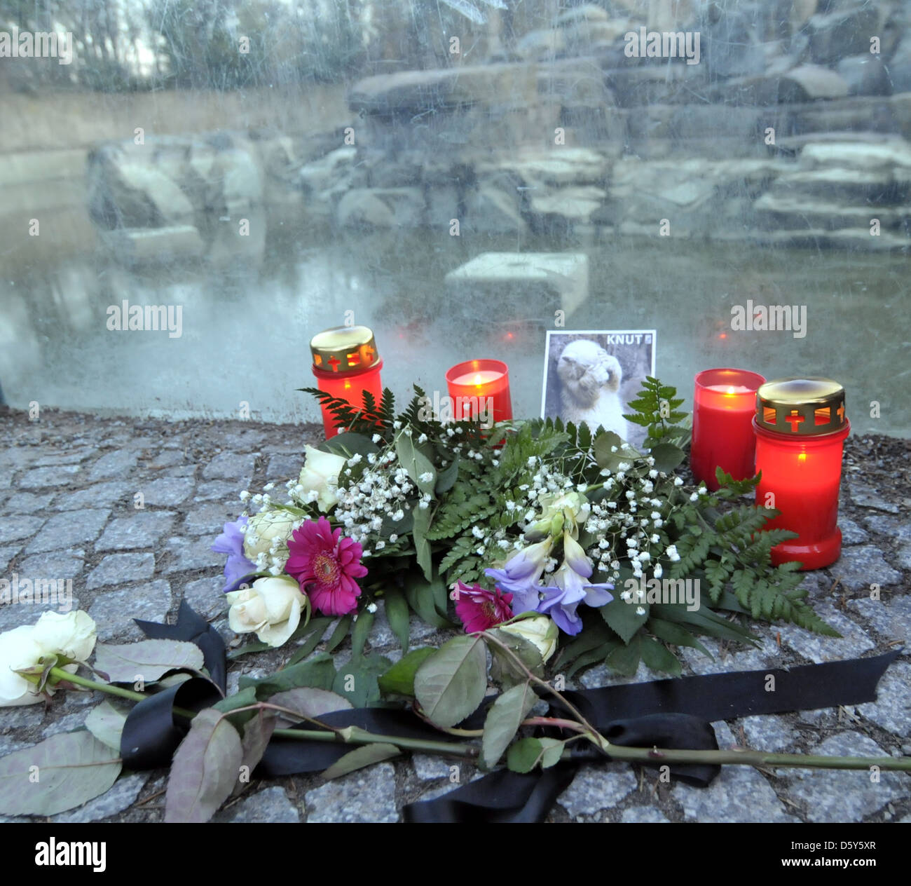 Berliners mourn the death of beloved polar bear Knut who at the age of ...