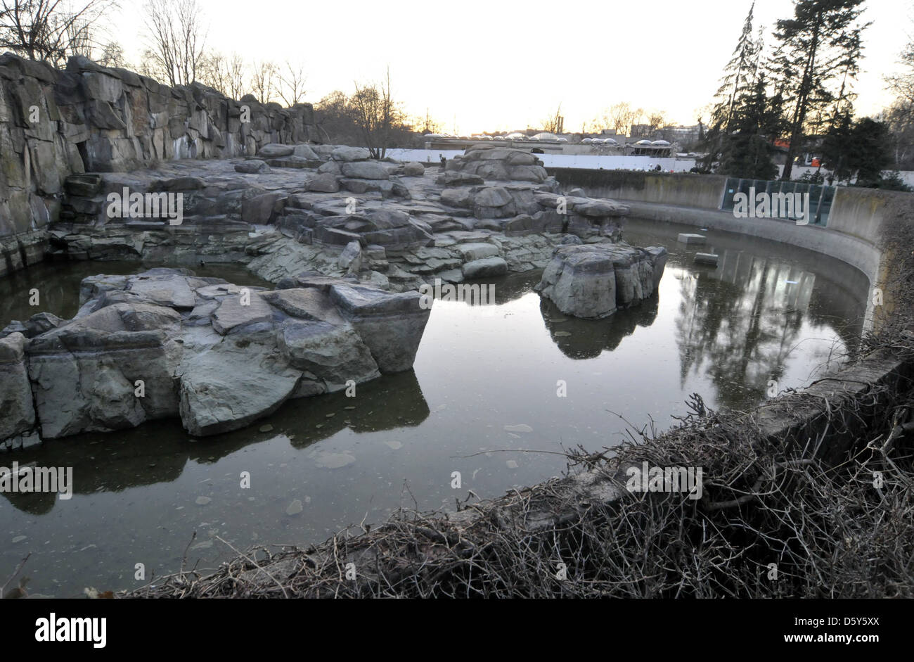 Berliners mourn the death of beloved polar bear Knut who at the age of ...