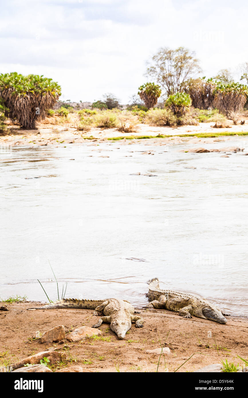 Kenian hi-res stock photography and images - Alamy