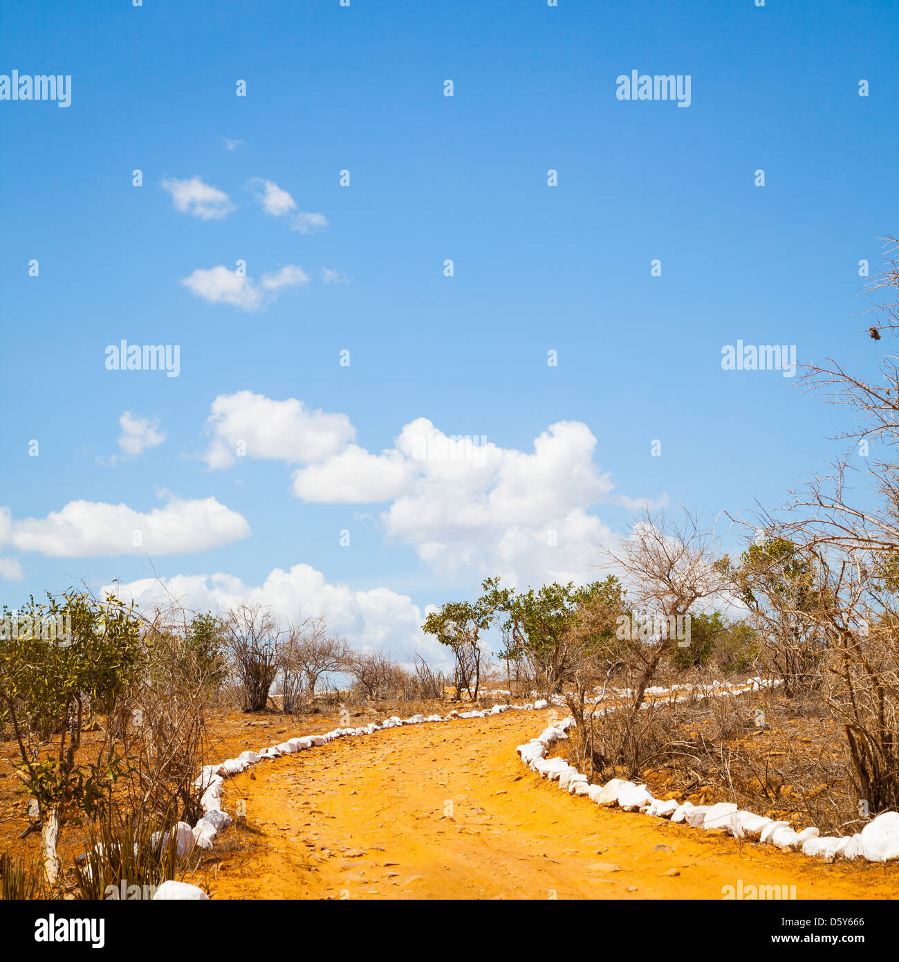 Savana hi-res stock photography and images - Alamy