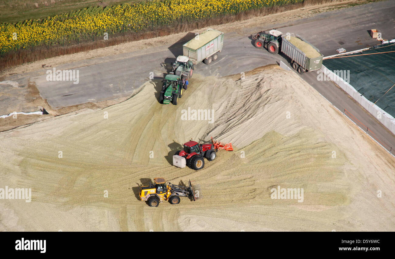 Newly harvested corn is delivered to a biogas plant near Rosdorf ...