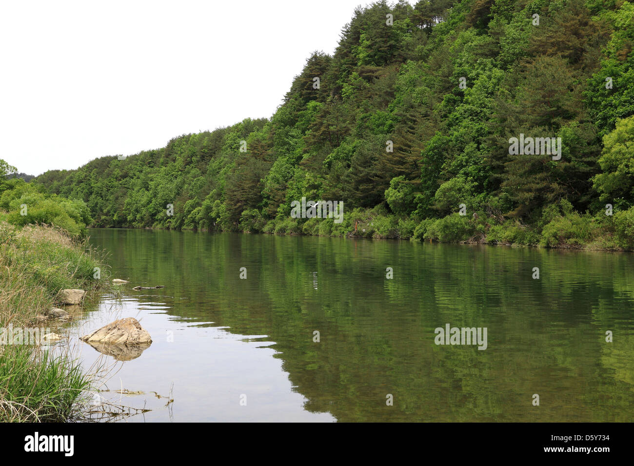 Valley of Mt Bangtae in Inje-gun Korea Stock Photo - Alamy