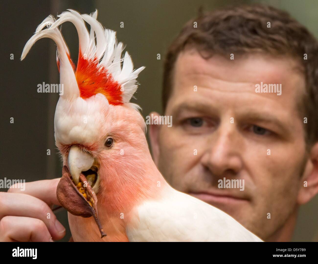 Major Mitchell's Instagram, Twitter & Facebook on IDCrawl