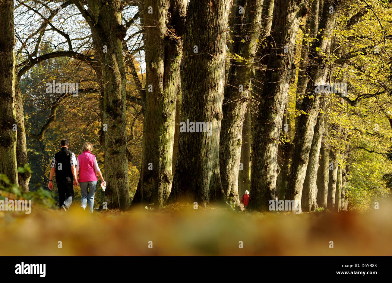 Walkers take a stroll in Hirschpark during sunny autumnal weather in ...