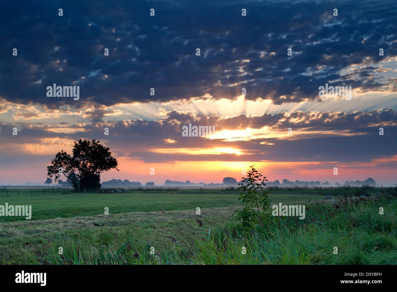 Green pasture sunrise hi-res stock photography and images - Alamy