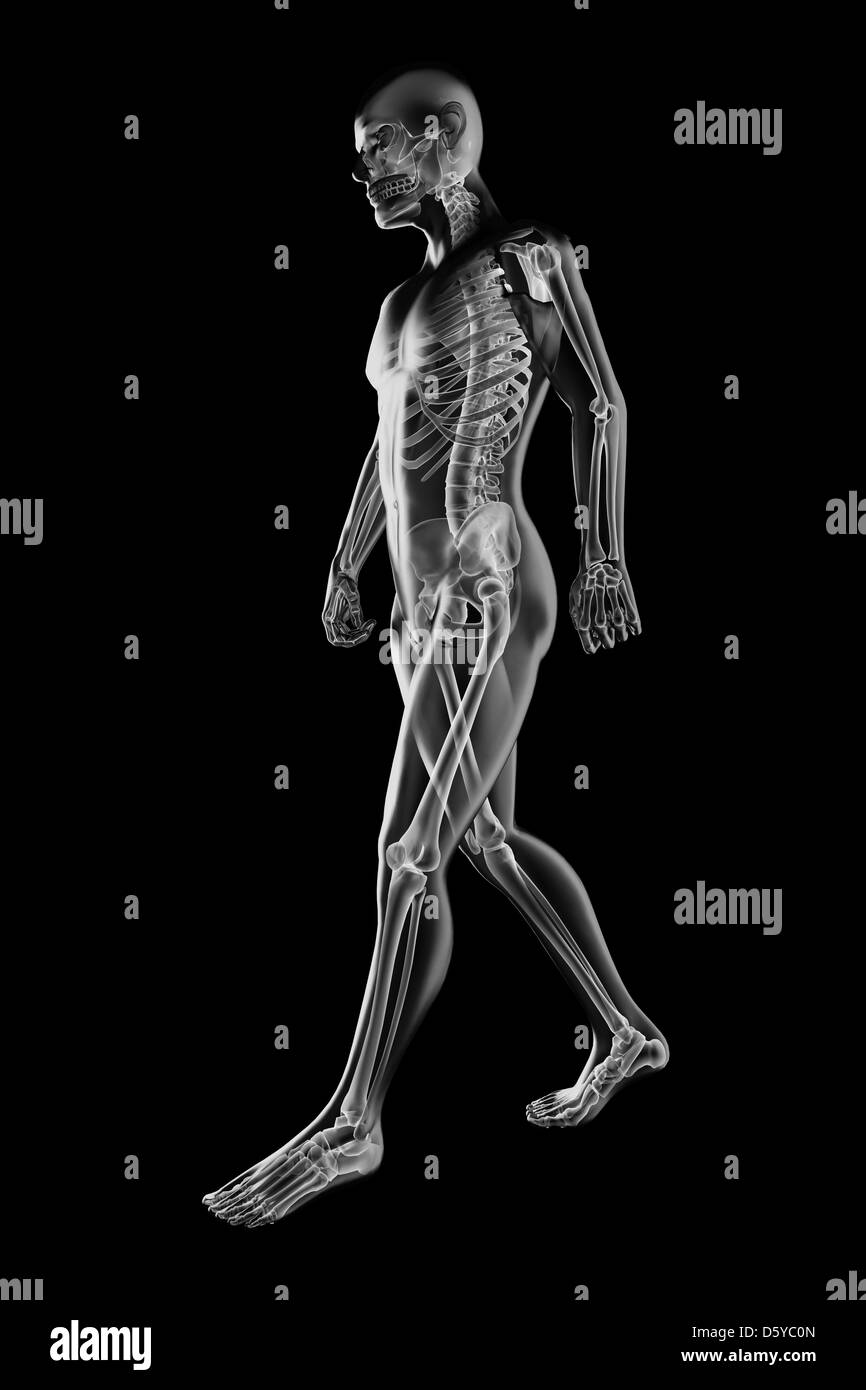 walking man radiography Stock Photo - Alamy