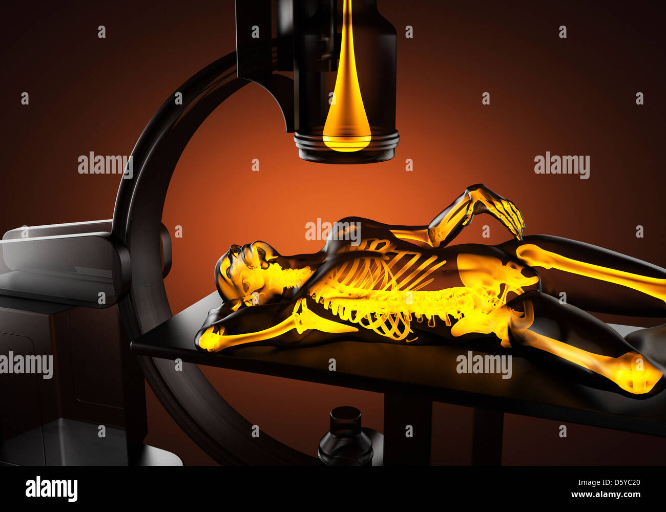 Anatomical examination hi-res stock photography and images - Alamy