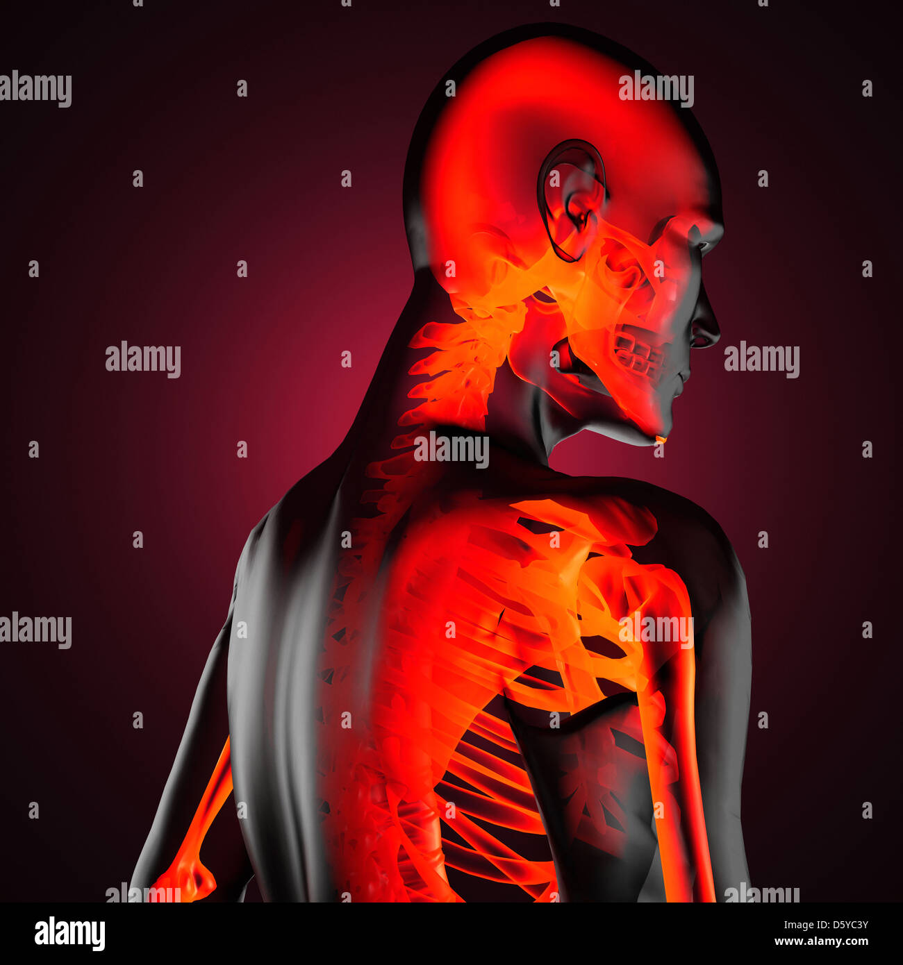 human radiography scan Stock Photo - Alamy