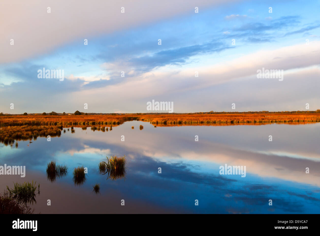 Reflections on lake surface hi-res stock photography and images - Alamy