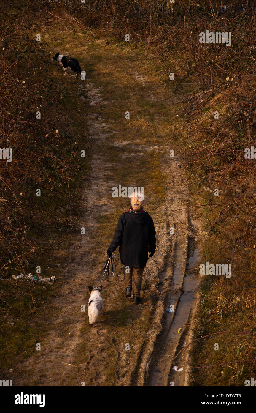 Woman female country walk with dogs Stock Photo - Alamy