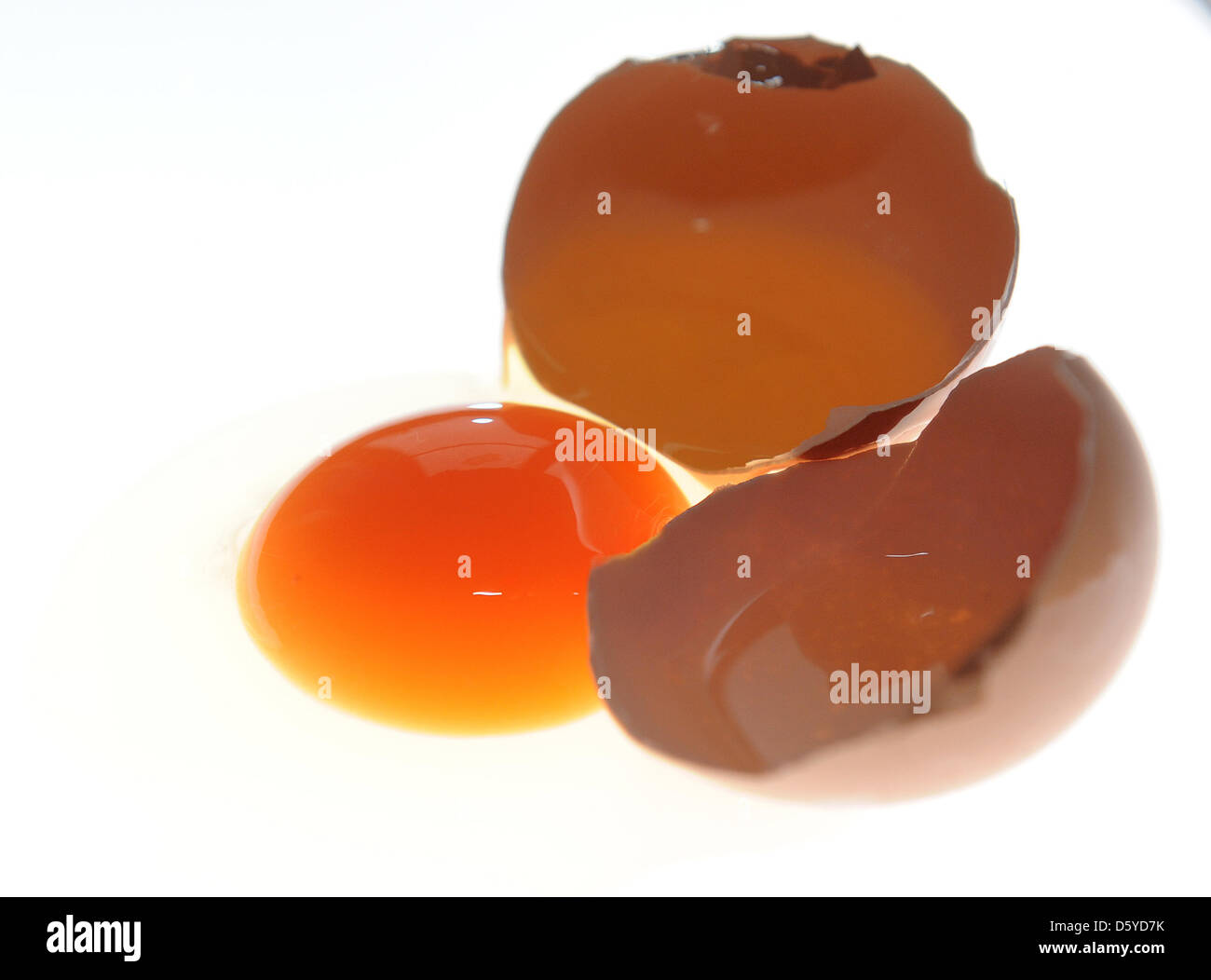 ILLUSTRATION - A cracked egg on a light table in Gelsenkirchen, Germany ...